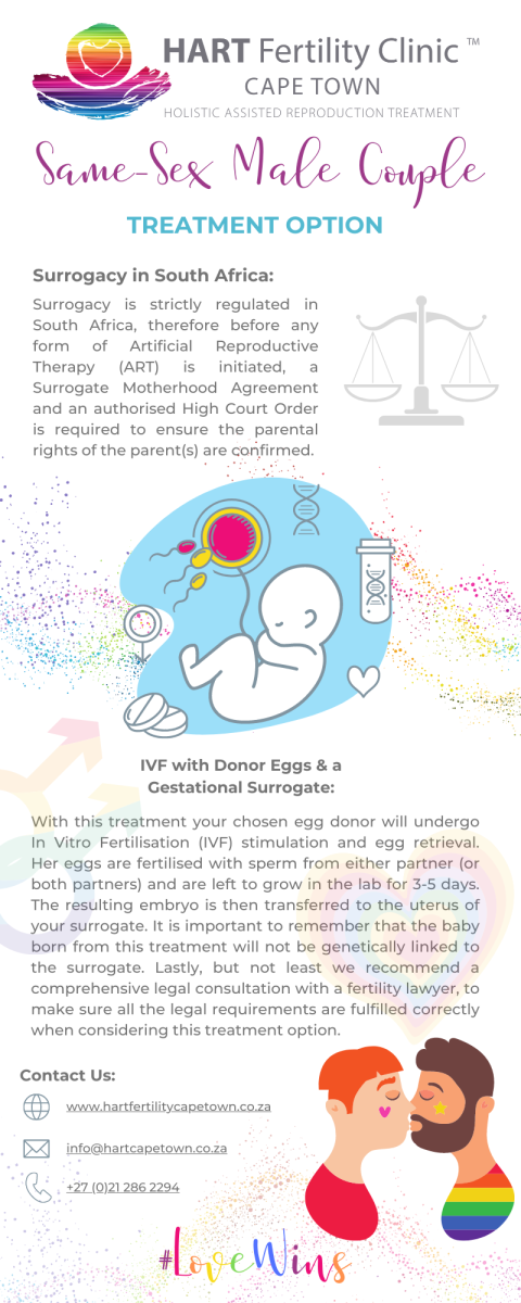 Same Sex Male Couples Treatment Options Hart Fertility Cape Town